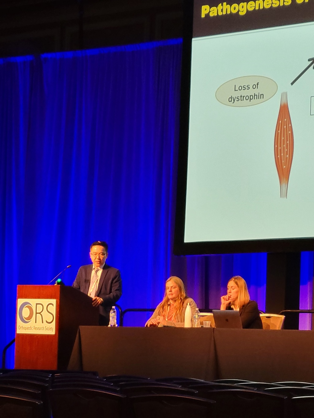 News | Musculoskeletal Growth & Regeneration - Ortho Li Lab - The ...