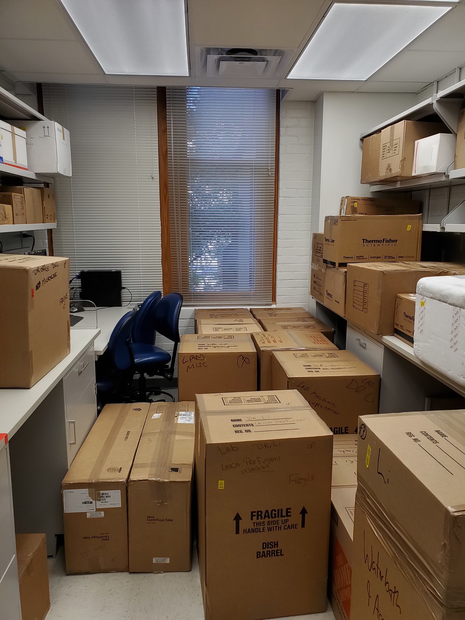 News | Musculoskeletal Growth & Regeneration - Ortho Li Lab - The University of Iowa